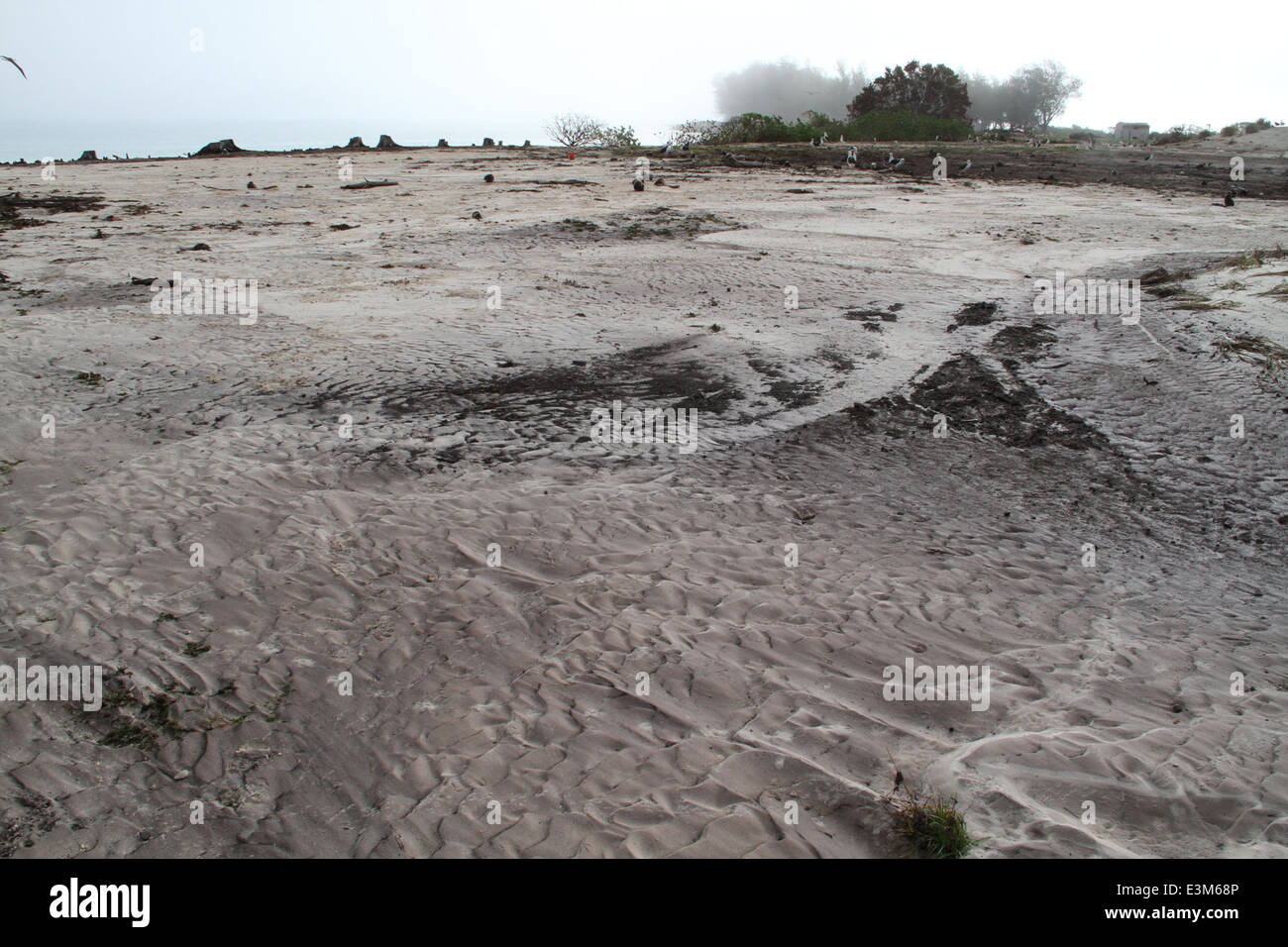 Midway atoll national wildlife refuge hi-res stock photography and ...