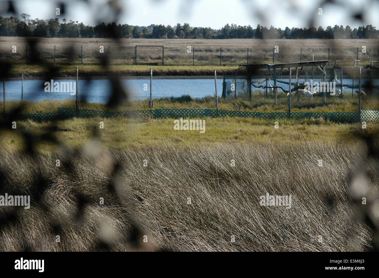 A view from a wildlife observation blind, providing a clear and ...