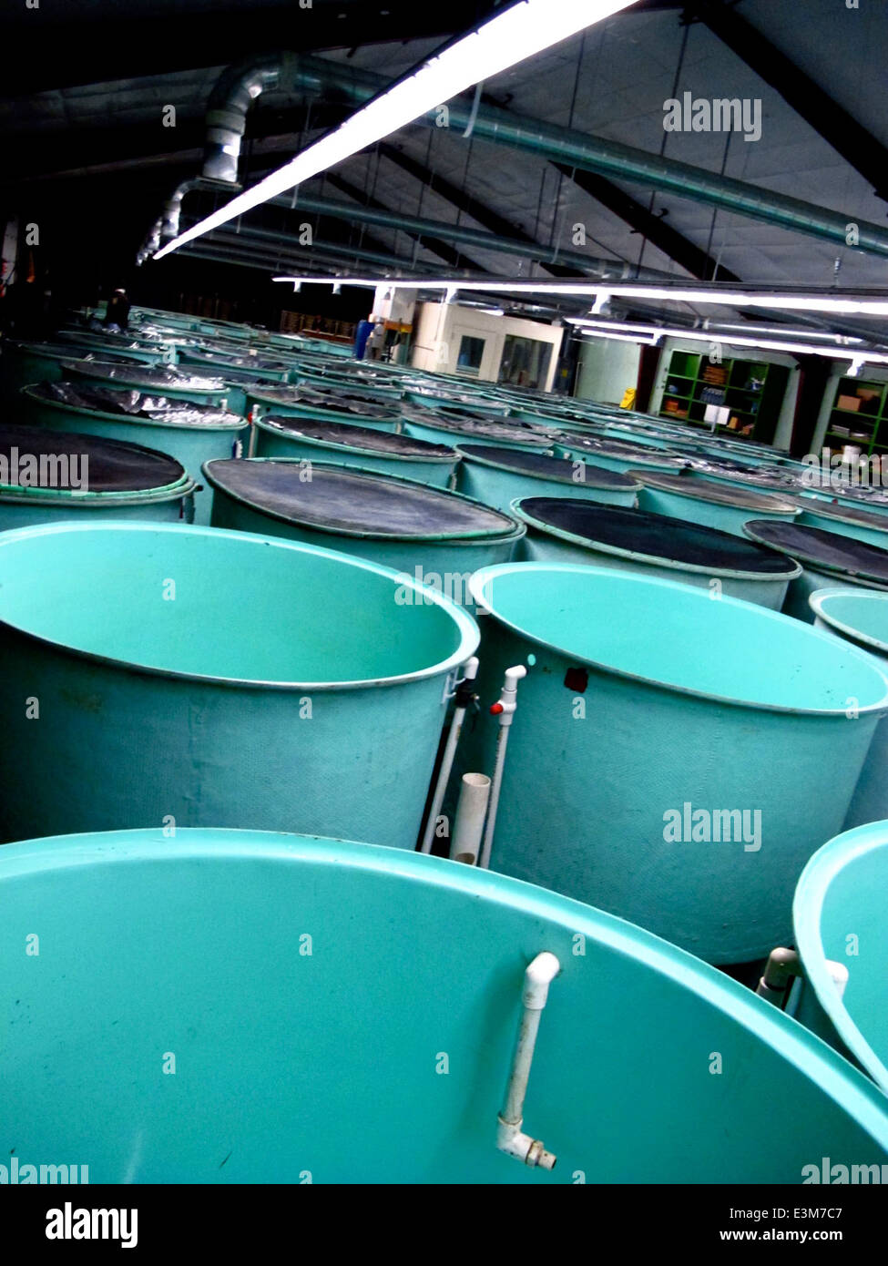 Water conservation in tanks hi-res stock photography and images - Alamy