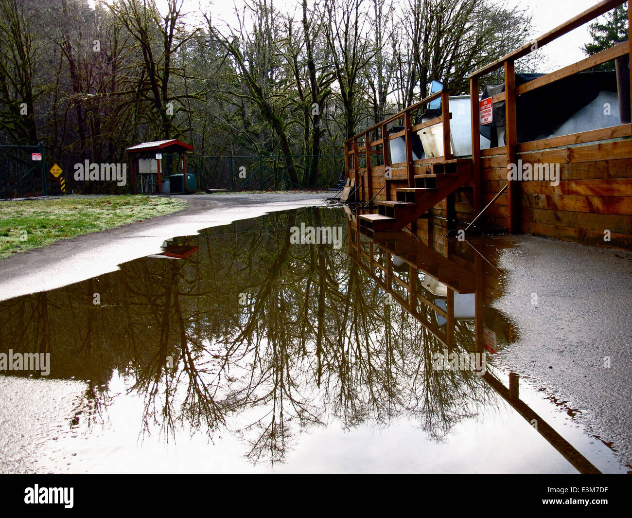 Fishpropagation hi-res stock photography and images - Alamy