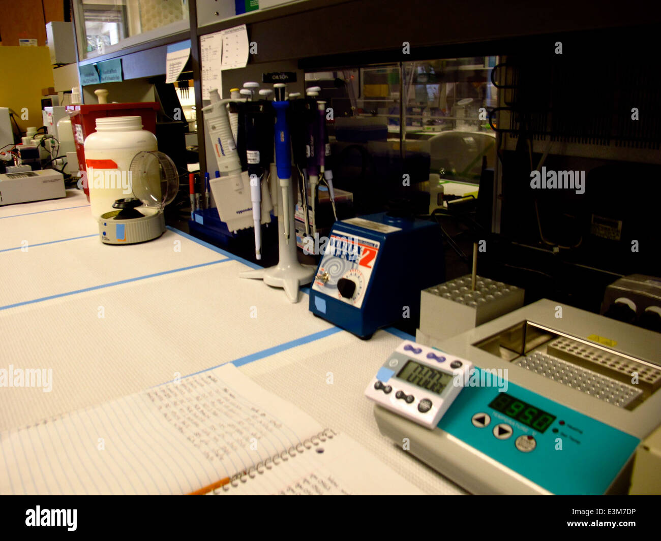 The genetics lab Stock Photo - Alamy