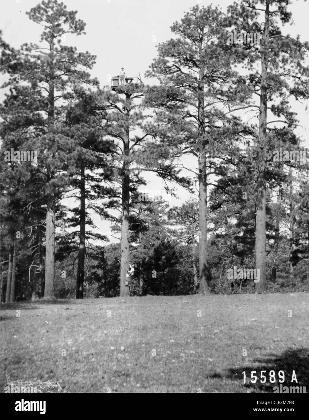 An image from the historic photo collection shows Hull Tank Lookout ...