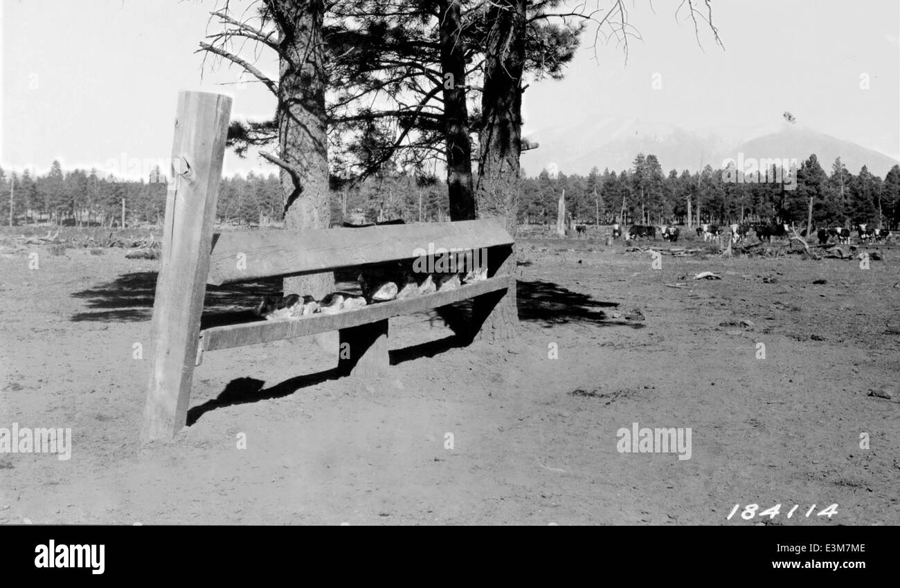 This image from the historic photo collection shows salt troughs, once ...