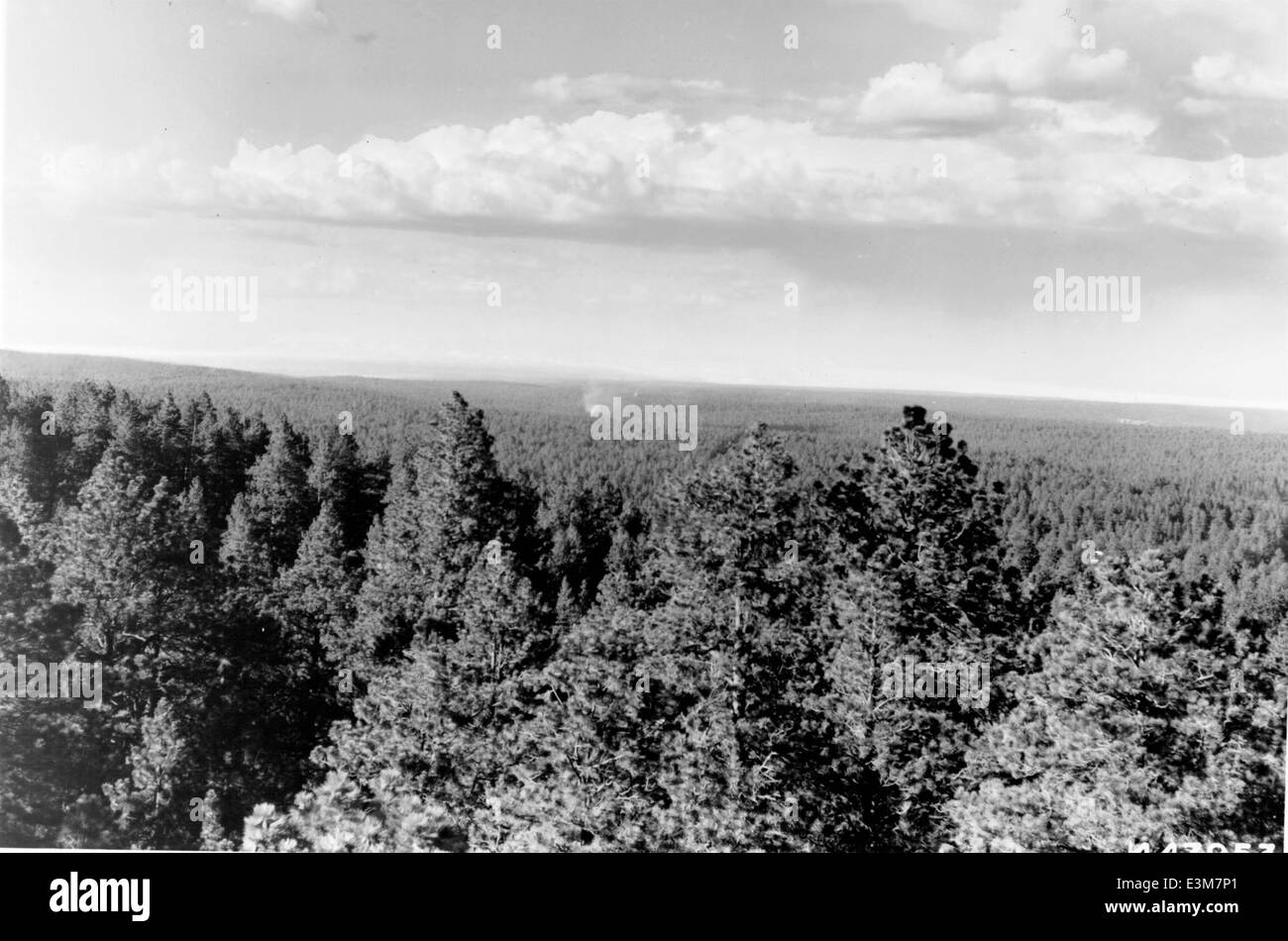 View area from tower Black and White Stock Photos & Images - Alamy