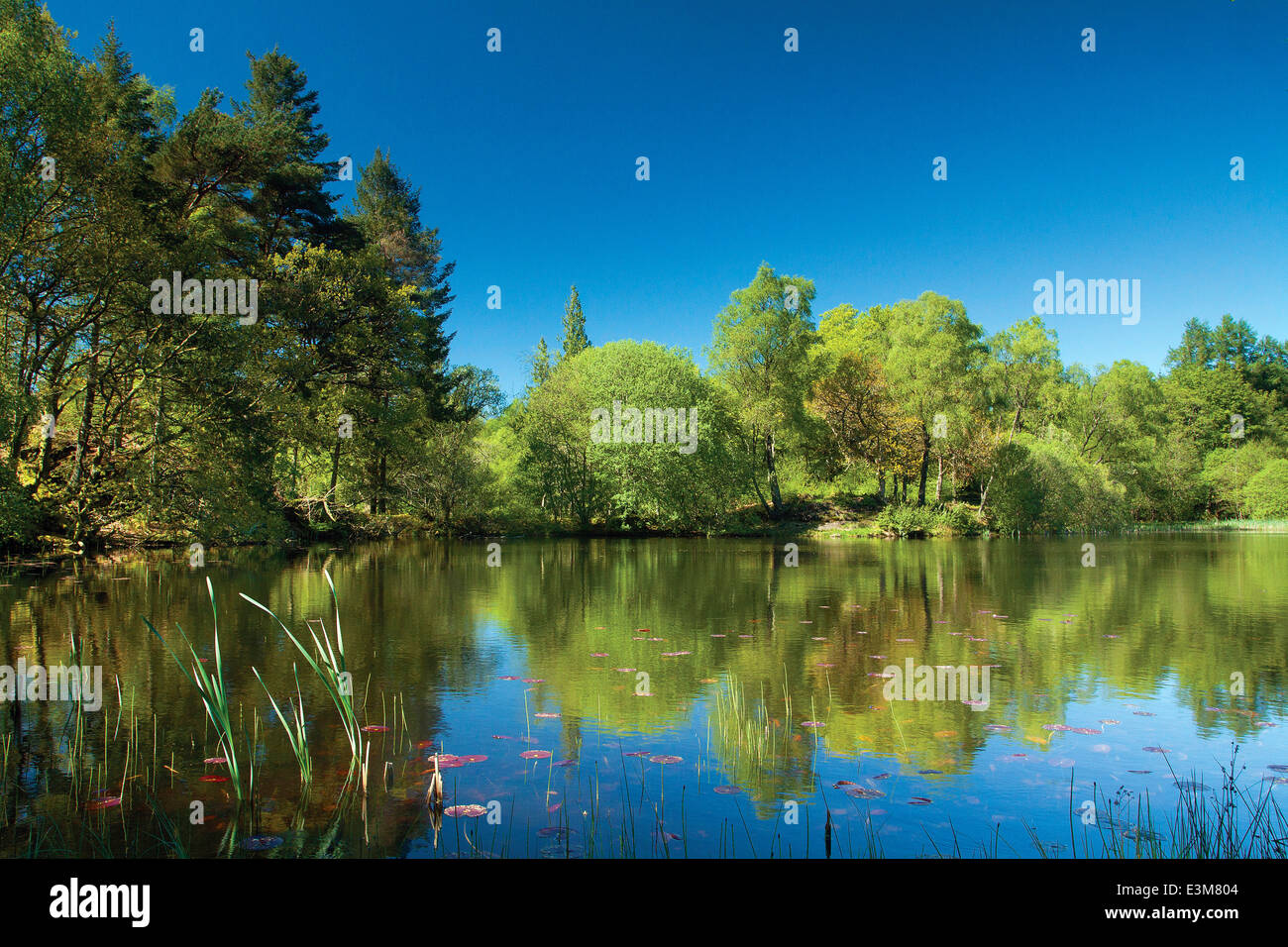 Kilmory Loch, Lochgilphead, Argyll & Bute Stock Photo - Alamy
