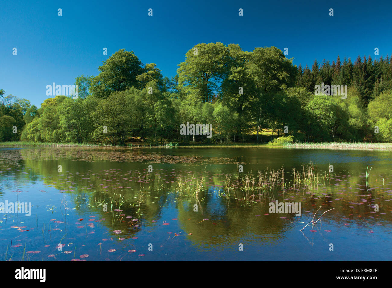 Lochgilphead hi-res stock photography and images - Alamy