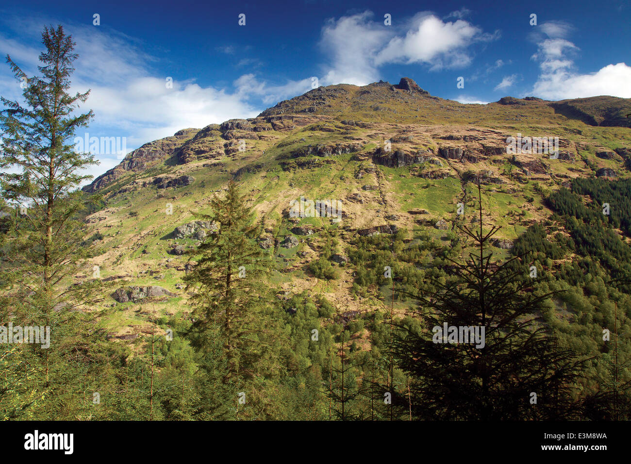 The Cobbler (Ben Arthur) from the Cat Craig Loop, the Argyll Forest ...