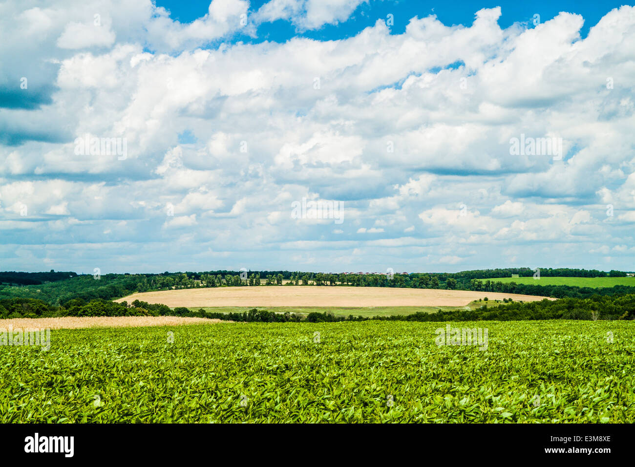 Photo of farmer fields in the summer afternoon Stock Photo - Alamy