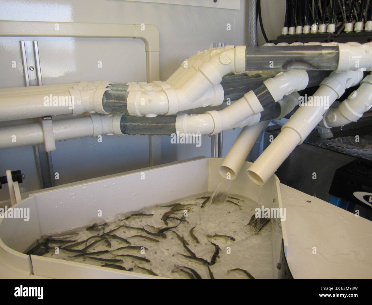 Volitional entry device. (FWS Stock Photo - Alamy