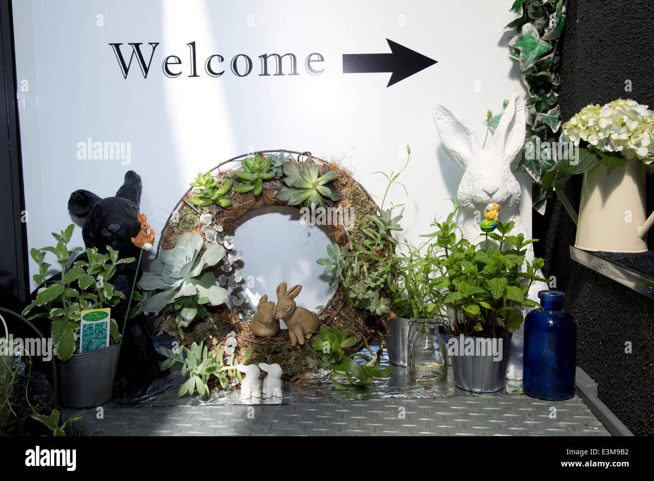 June 19, 2014, Tokyo, Japan - Ms.Bunny, a pet shop and cafe based in ...