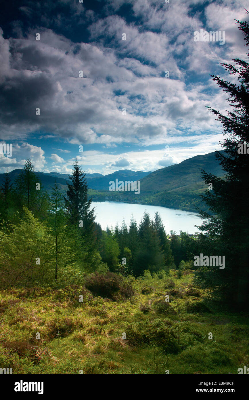 Loch Long and Arrochar from the Cat Craig Loop, the Argyll Forest Park ...
