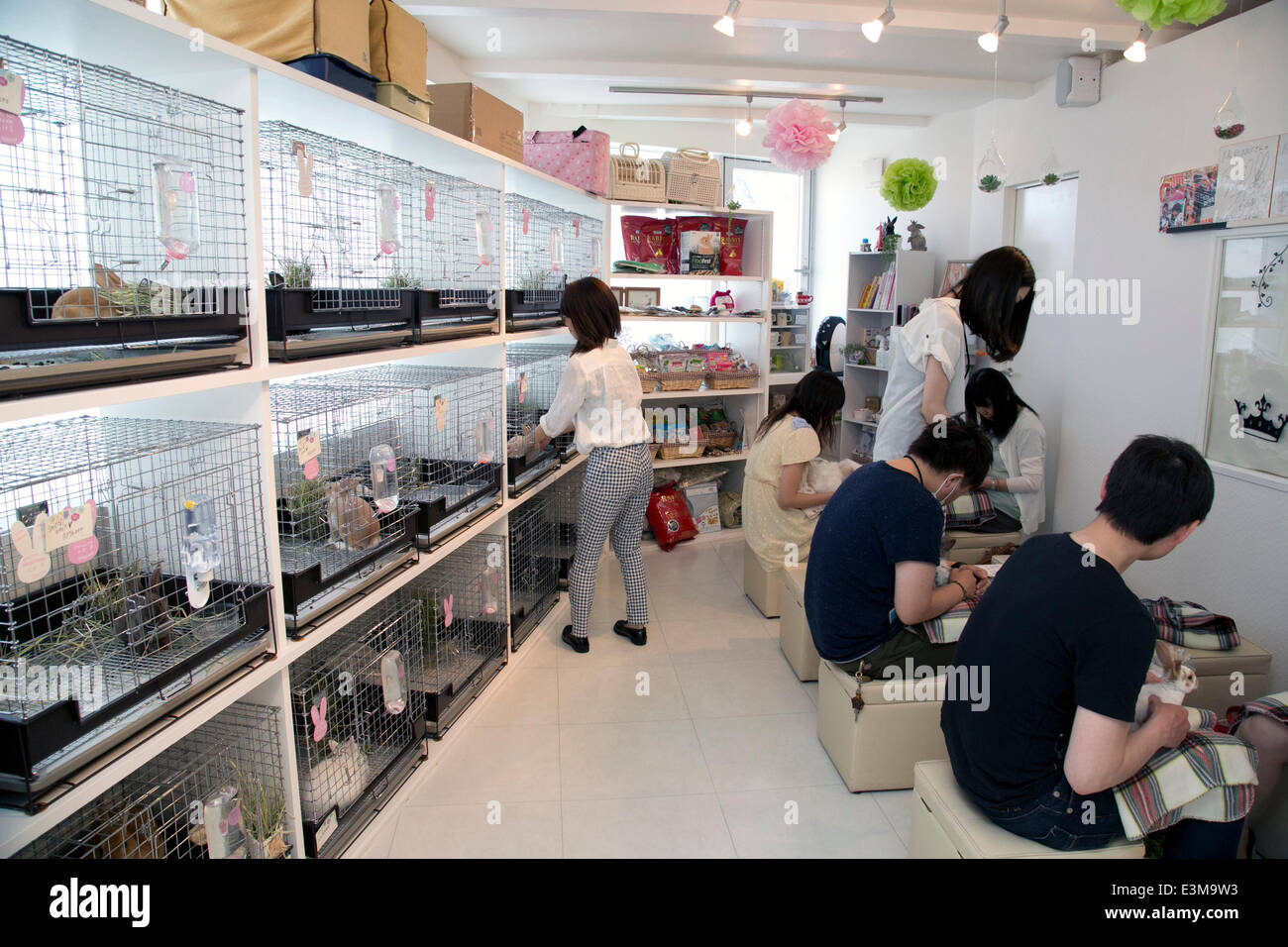 June 19, 2014, Tokyo, Japan - Customers hold rabbits at the Ms. Bunny ...