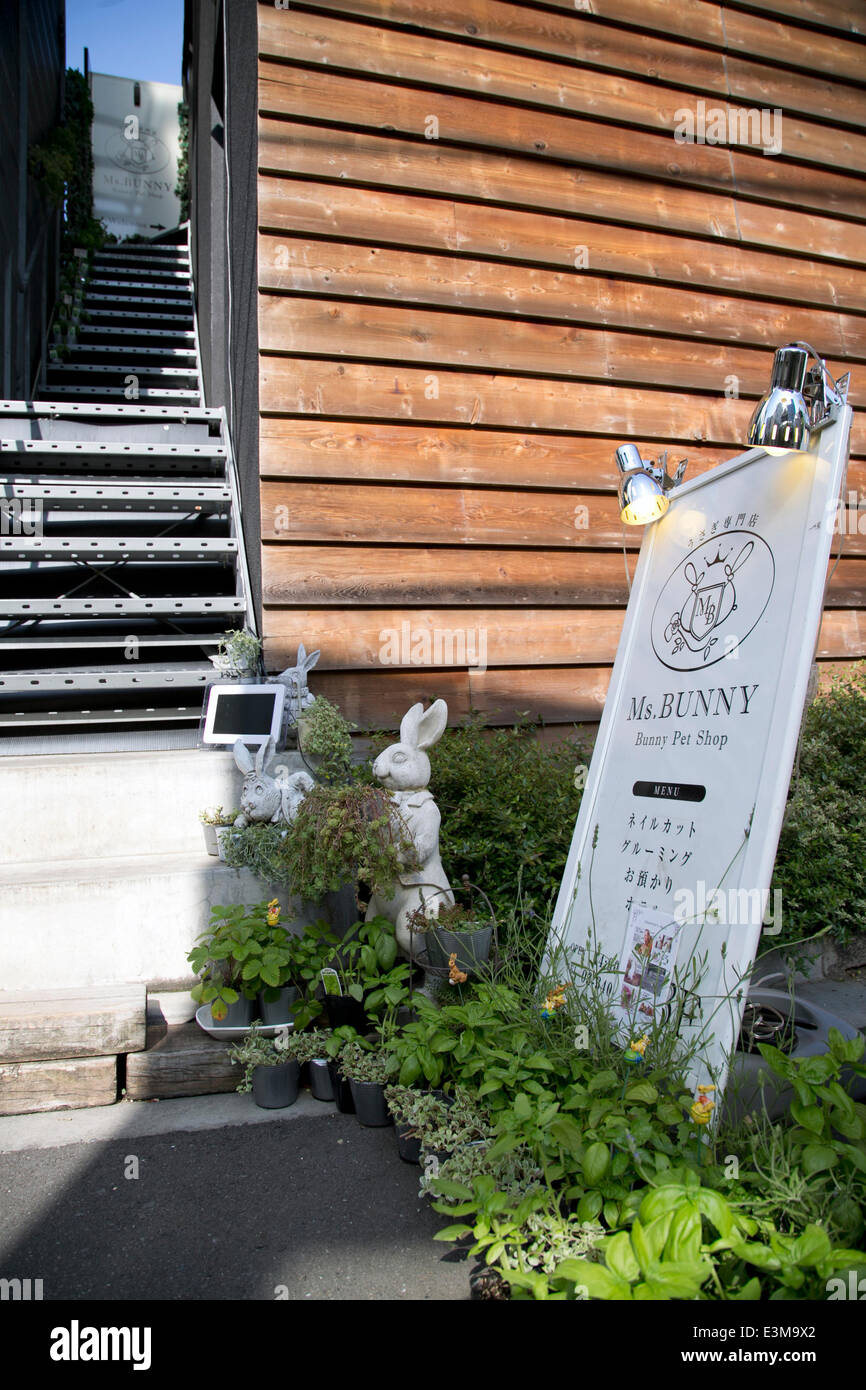 Bunny cafes in japan hi-res stock photography and images - Alamy