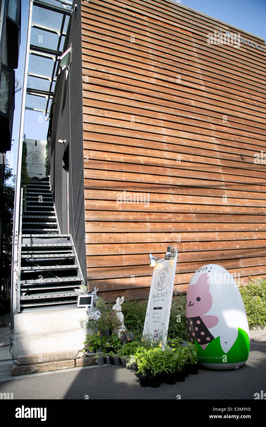 Tokyo pet shop hi-res stock photography and images - Alamy