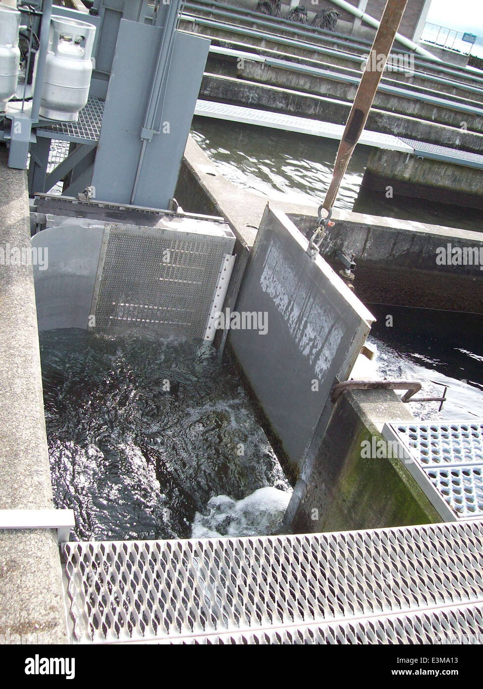 Fish hatchery raceway hi-res stock photography and images - Alamy
