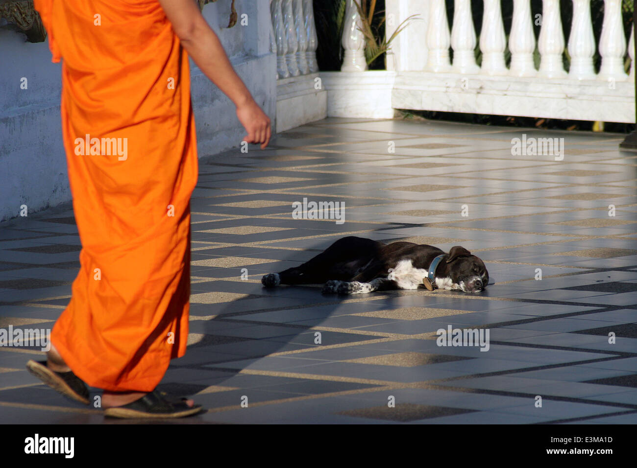 Monk sleeping hi-res stock photography and images - Alamy
