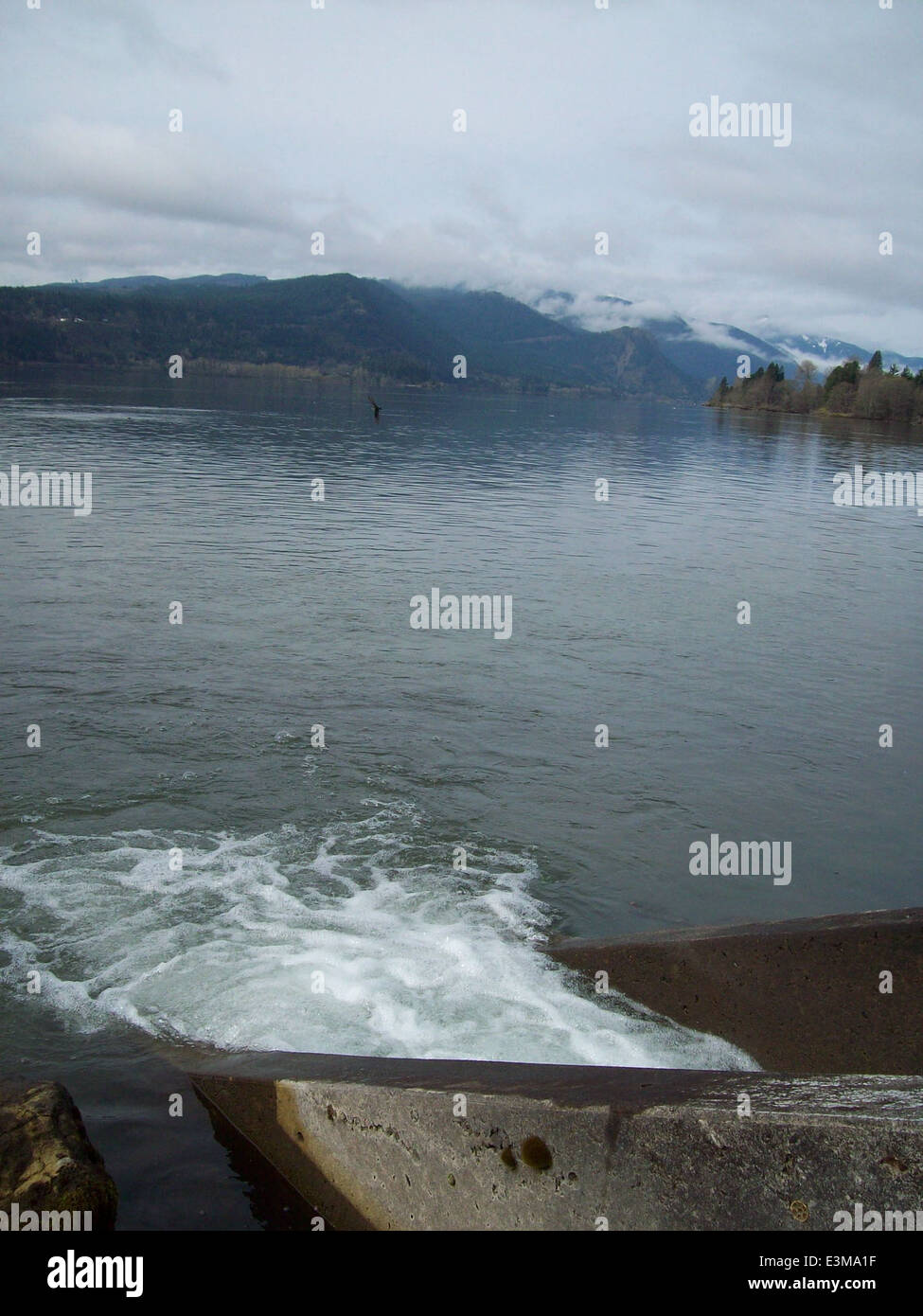 Pre historic fish hi-res stock photography and images - Alamy