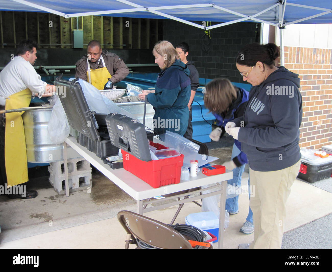 At the Missouri National Fish Hatchery in Neosho, staff monitor and ...