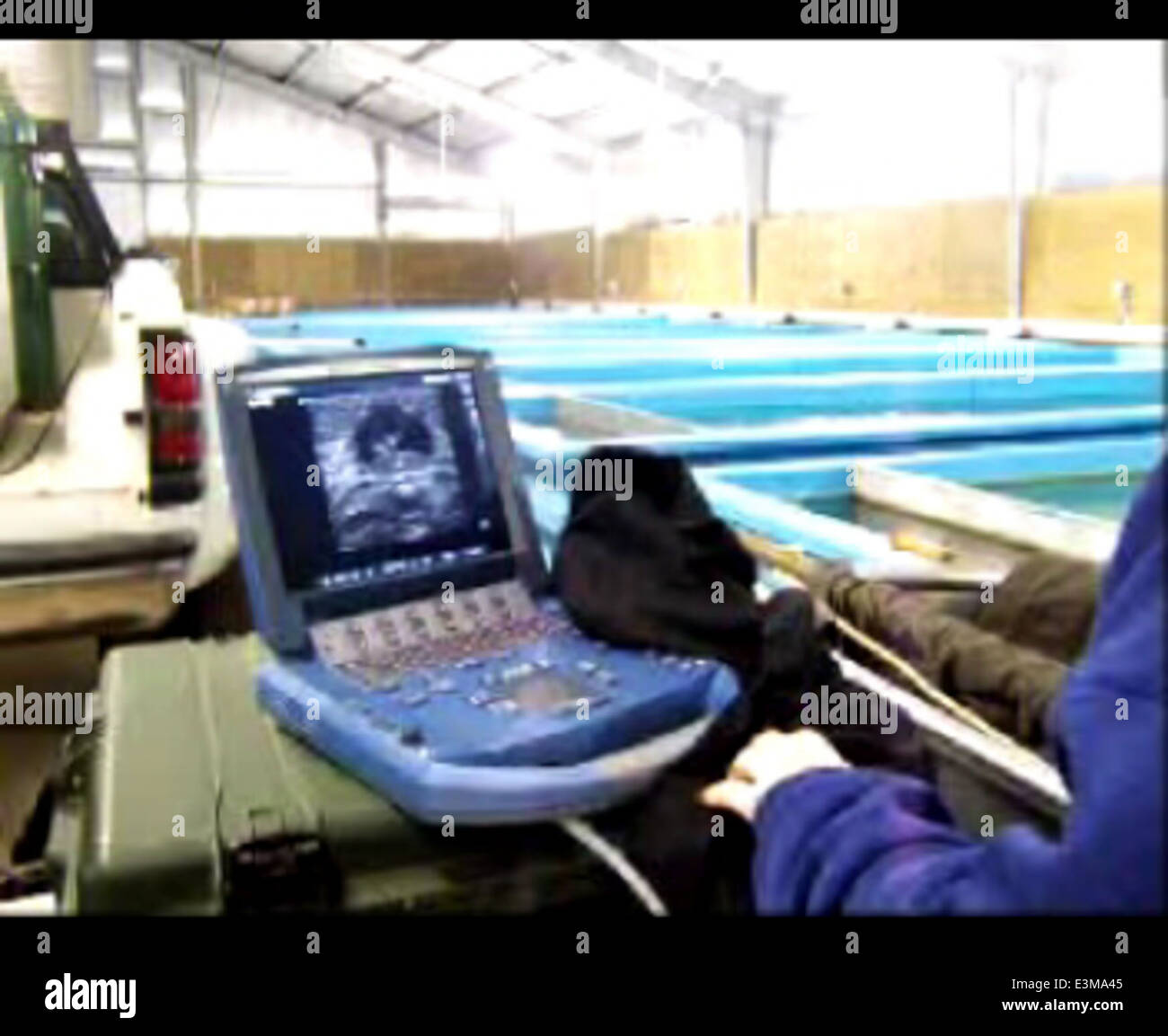 Method sonogram hi-res stock photography and images - Alamy