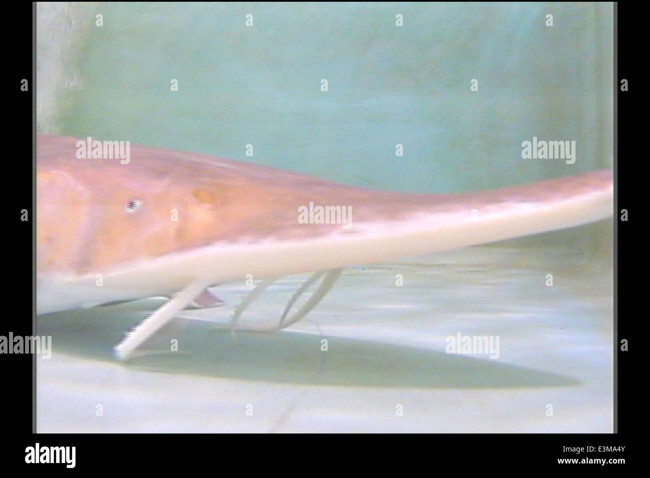 The image labeled uvs090402-010 is a reference code for a specific ...