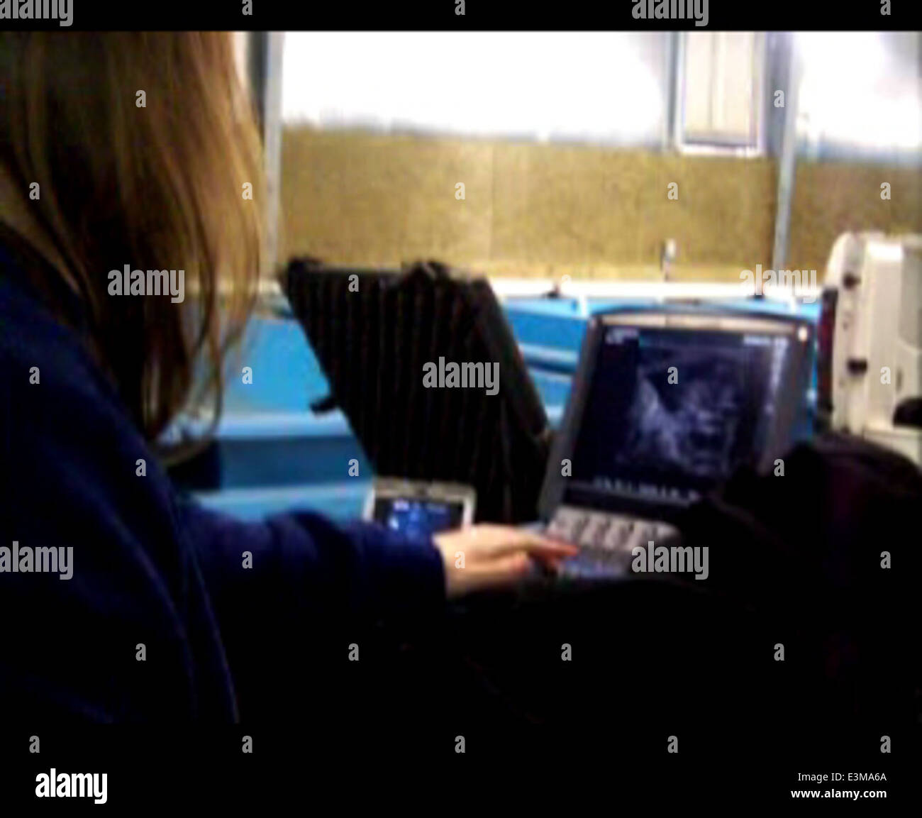 Ultrasound technology is commonly used for various biological research ...