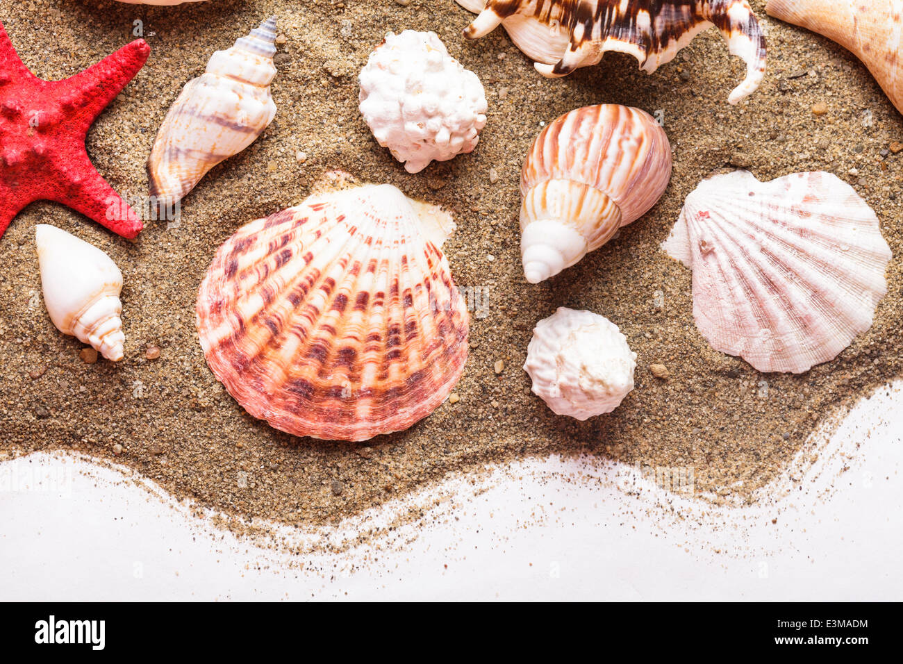 Seashells on the sand as a backgorund Stock Photo - Alamy