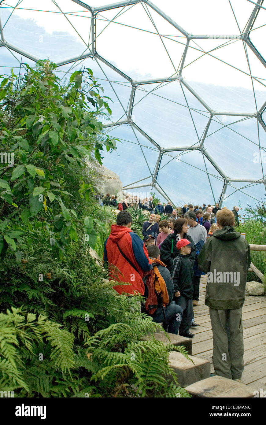 Eden Project in Cornwall. Temperate bio-dome Stock Photo - Alamy