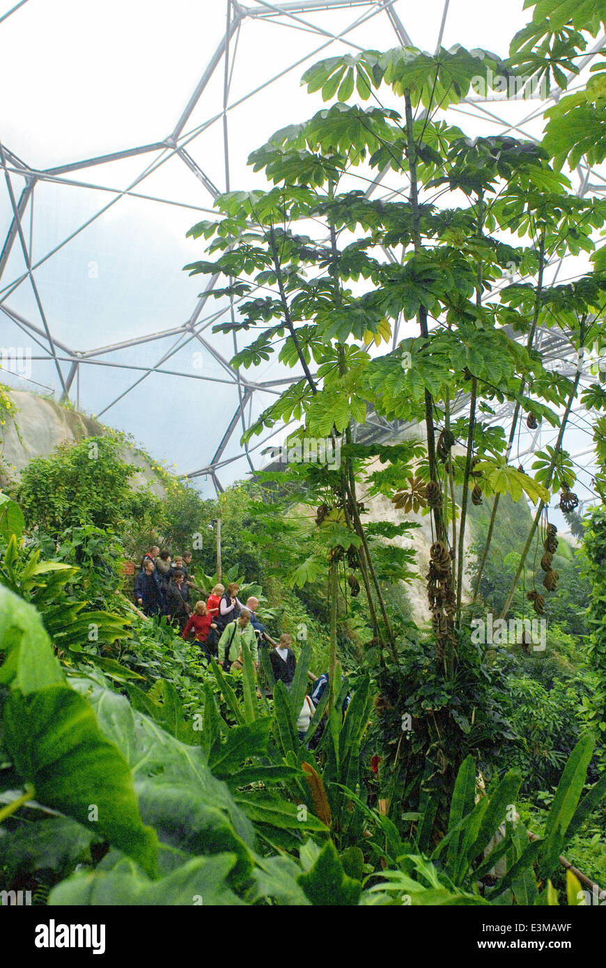 Eden Project in Cornwall, a river of people in the temperate bio-dome ...