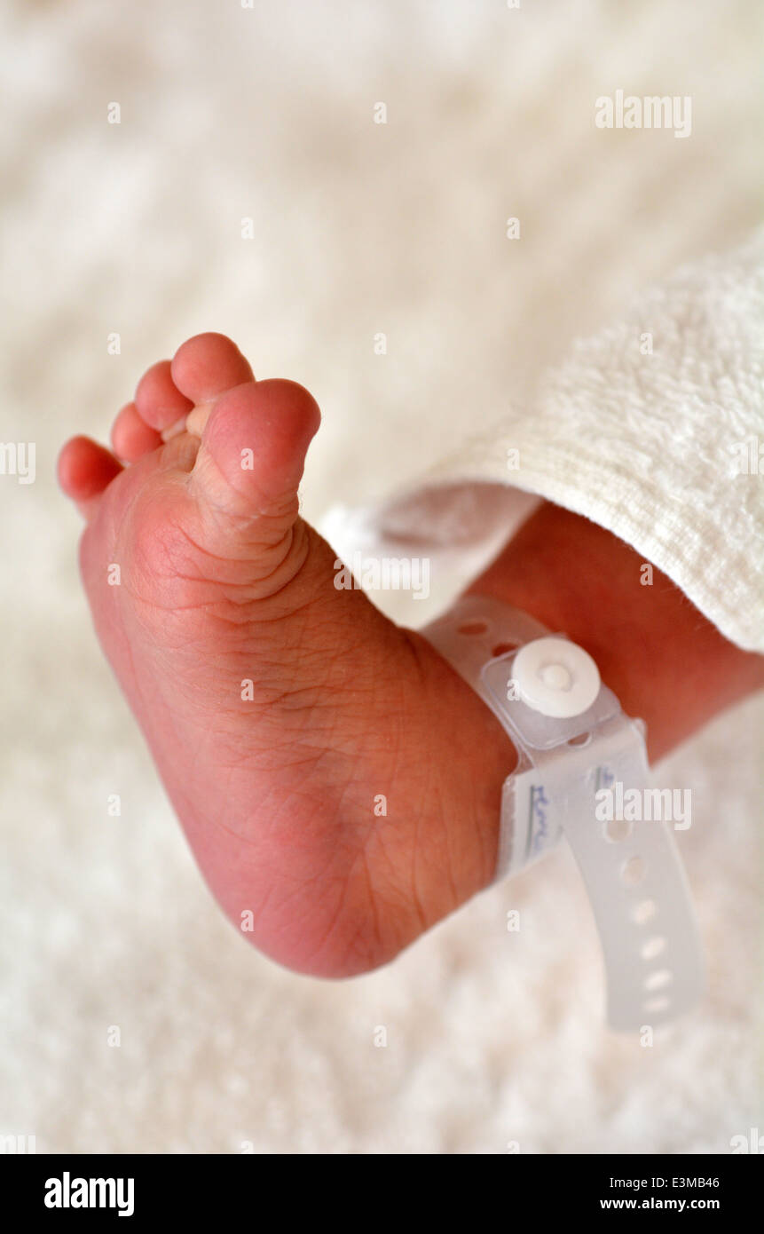 Body Identification High Resolution Stock Photography and Images - Alamy