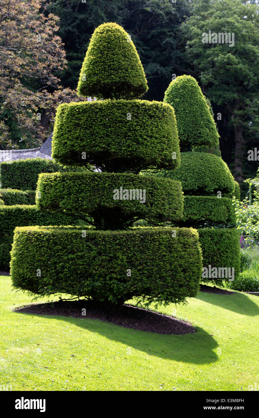Yew topiary hi-res stock photography and images - Alamy