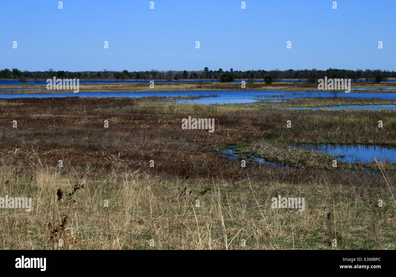 Necedah National Wildlife Refuge in Wisconsin is a wetland area managed ...