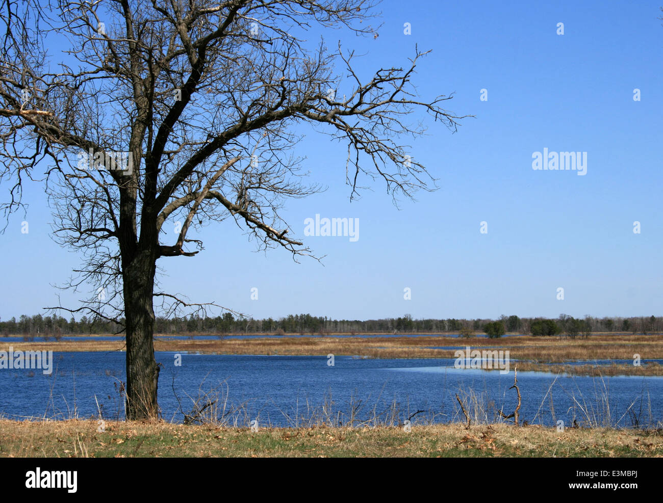 The Necedah Wetland is part of the National Wildlife Refuge System in ...