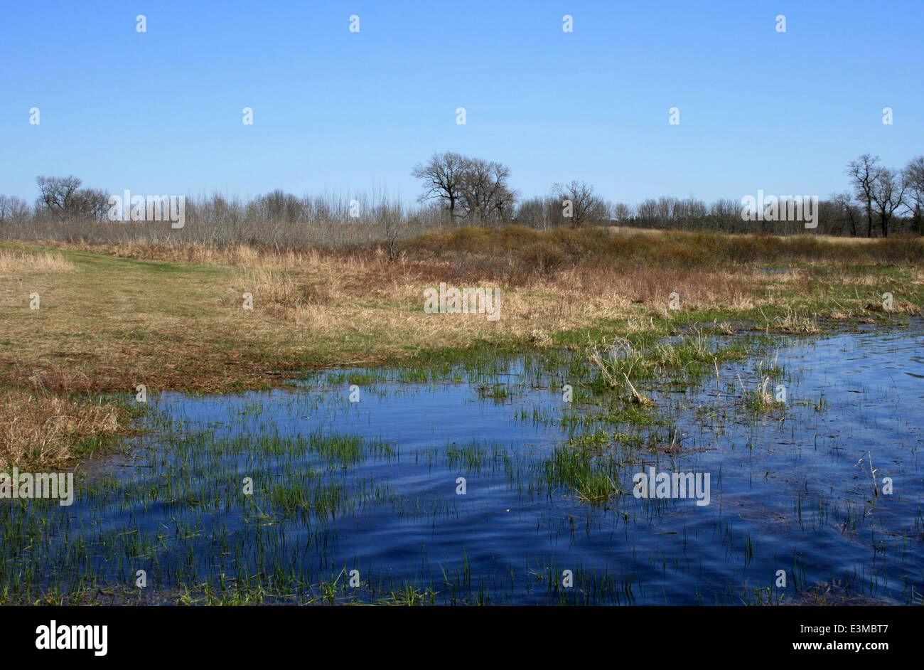 Necedah National Wildlife Refuge in Wisconsin is managed by the U.S ...