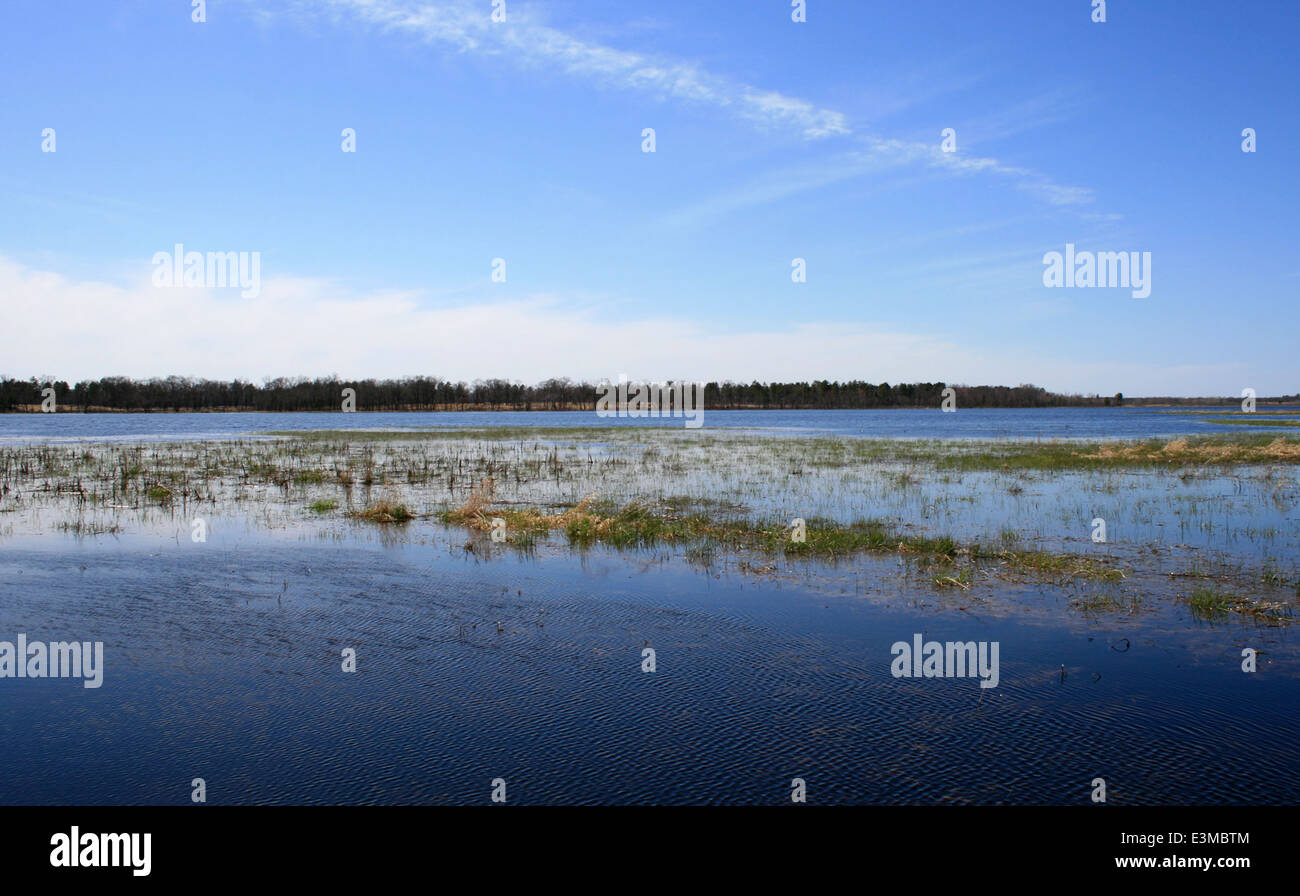 The Necedah Wetland in Wisconsin is part of the U.S. Fish and Wildlife ...