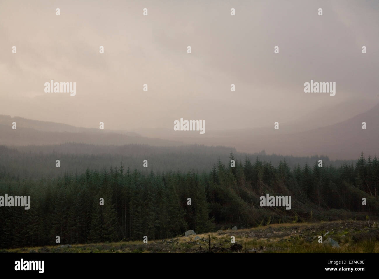 Galloway Forest Park in and around the Rhinns of Kells and the Back ...