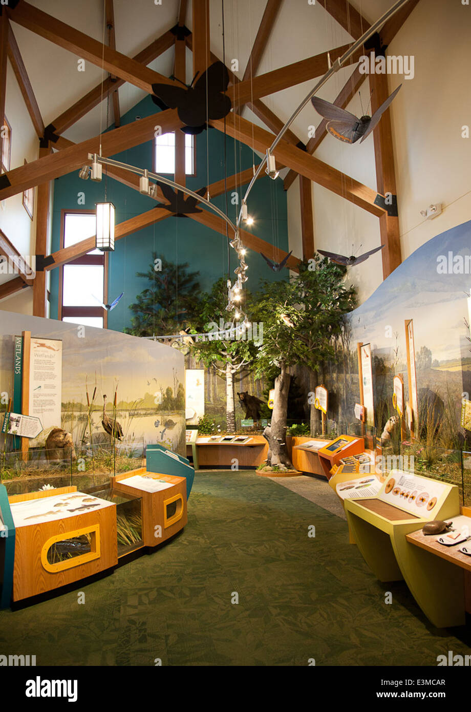 The Exhibit Hall at the Midwest National Wildlife Refuge Visitor Center ...