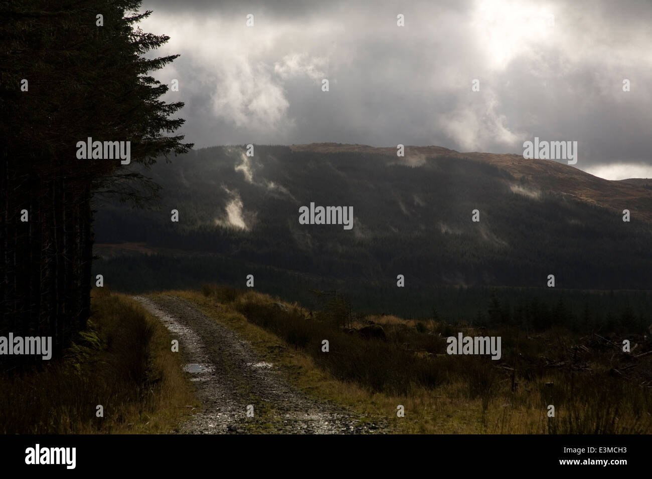 Galloway Forest Park in and around the Rhinns of Kells and the Back ...