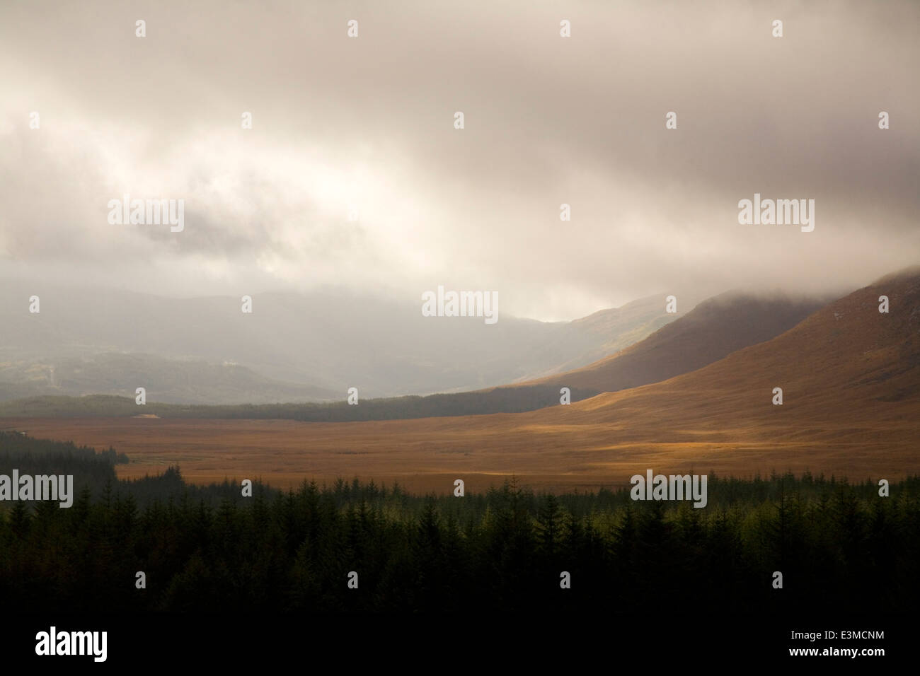 Galloway Forest Park in and around the Rhinns of Kells and the Back ...
