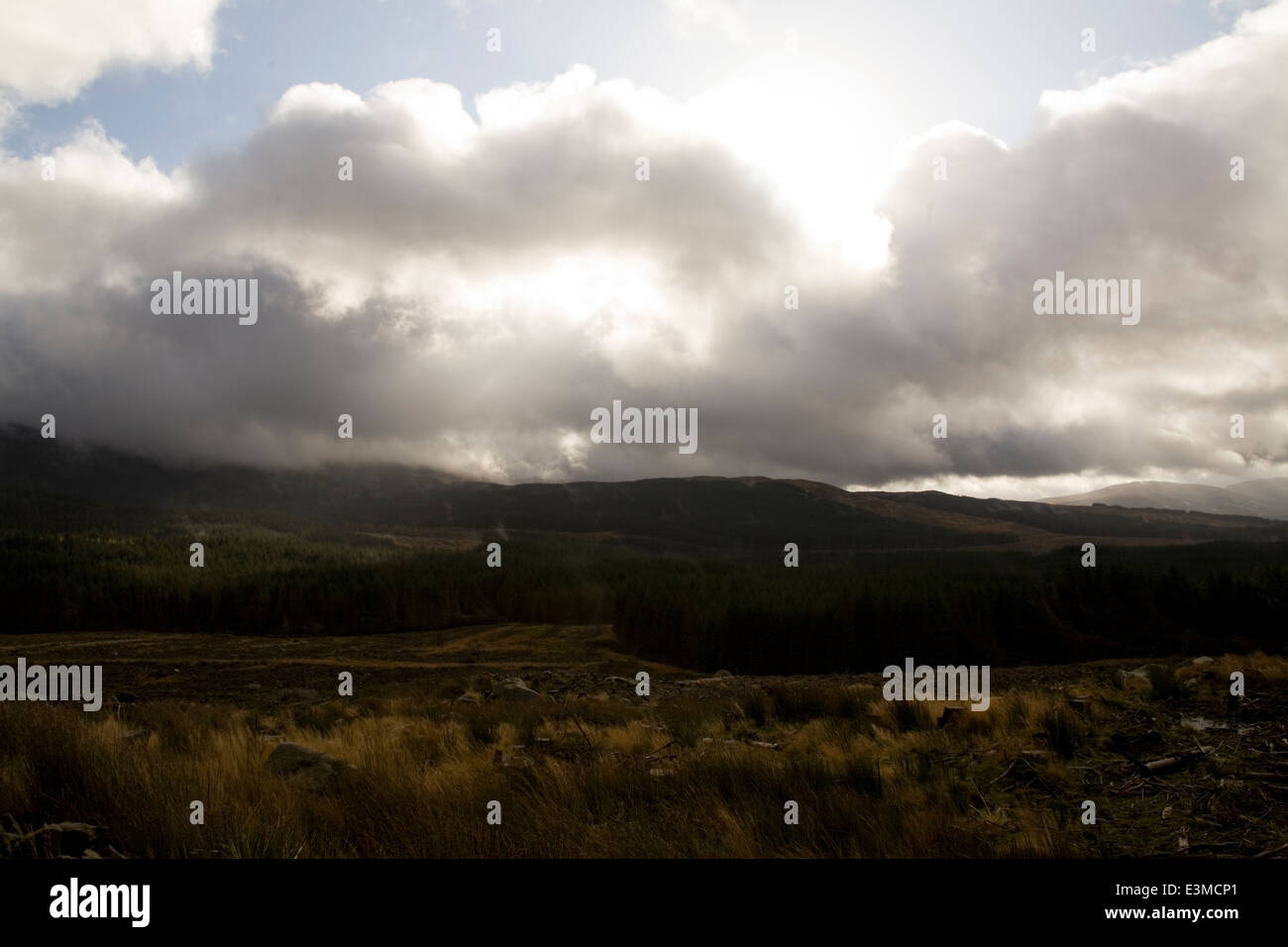 Galloway Forest Park in and around the Rhinns of Kells and the Back ...