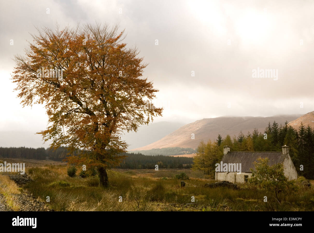 Galloway Forest Park in and around the Rhinns of Kells and the Back ...