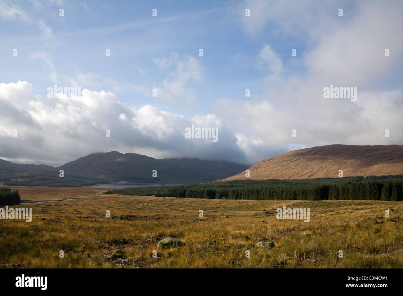 Galloway Forest Park in and around the Rhinns of Kells and the Back ...