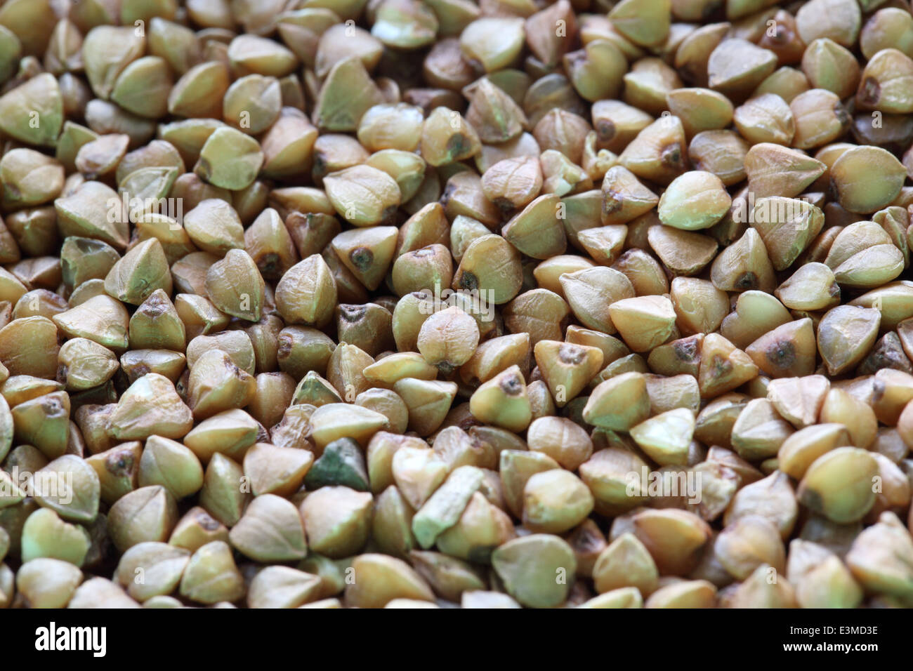 buckwheat on the photo. Closeup Stock Photo - Alamy