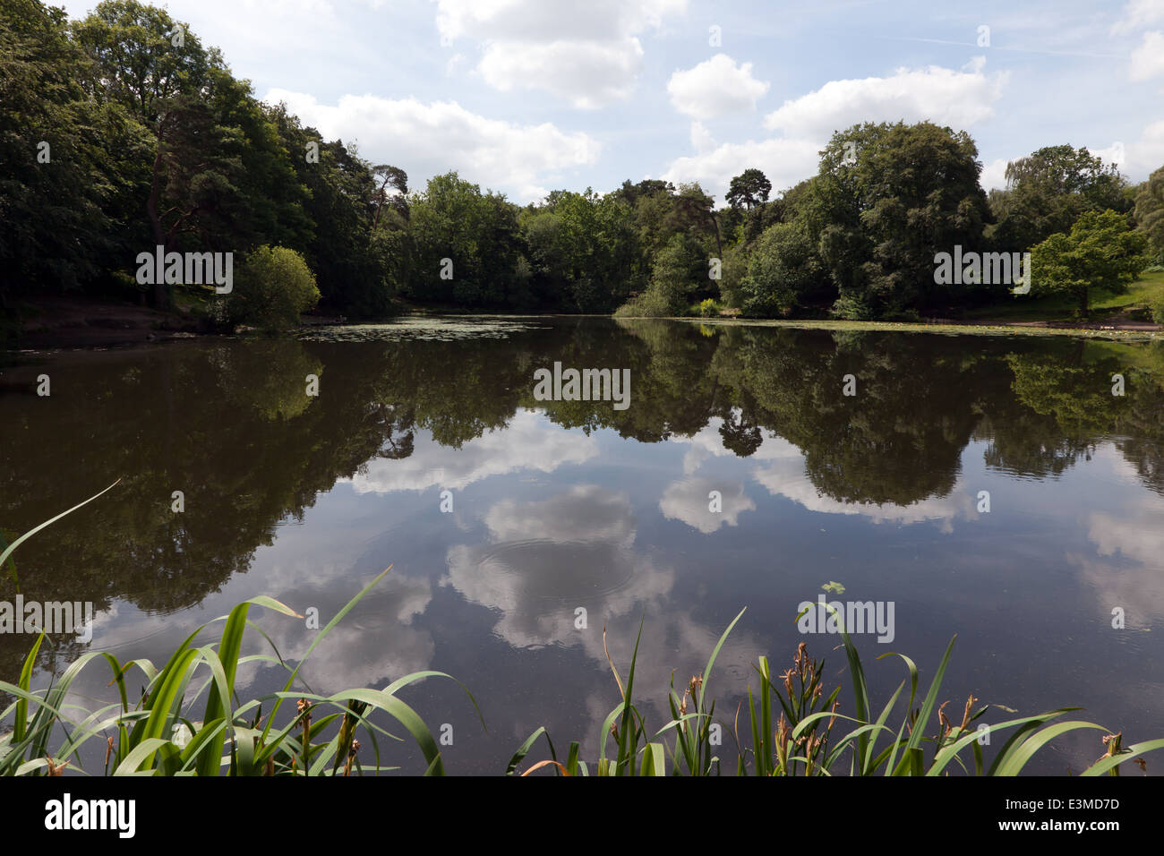 Panoramic image of Keston ponds, Bromley, Kent Stock Photo - Alamy