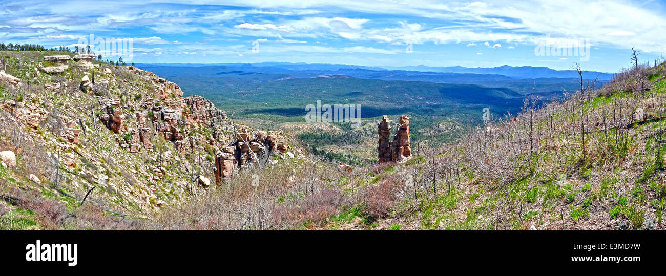 The Mogollon Rim in Coconino National Forest provides a sweeping ...