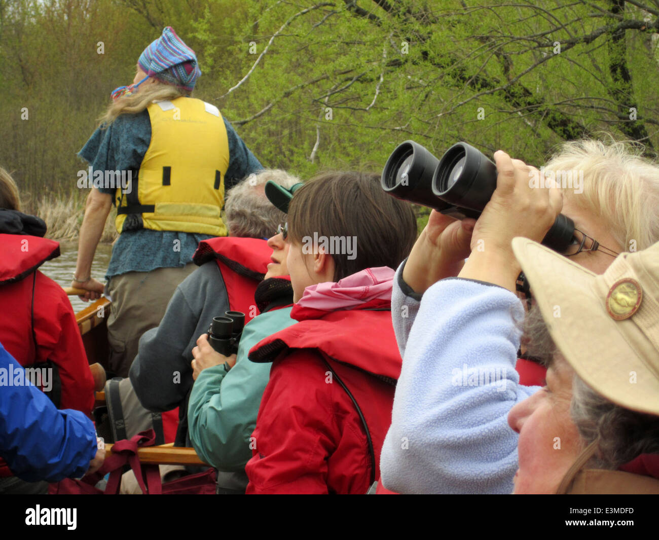 Birding with the voyageurs highlights bird viewing and watching along ...