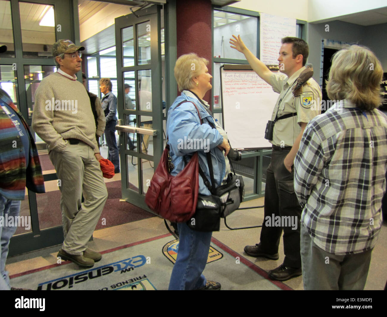 American kestrel small raptor hi-res stock photography and images - Alamy