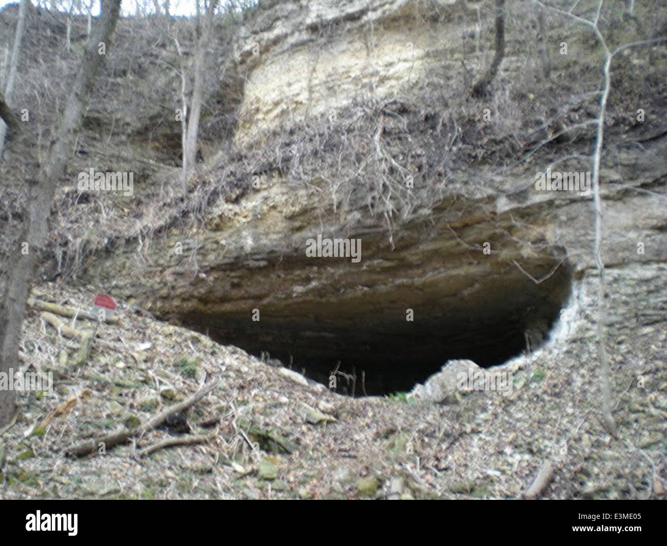 Indiana bats in cave hi-res stock photography and images - Alamy