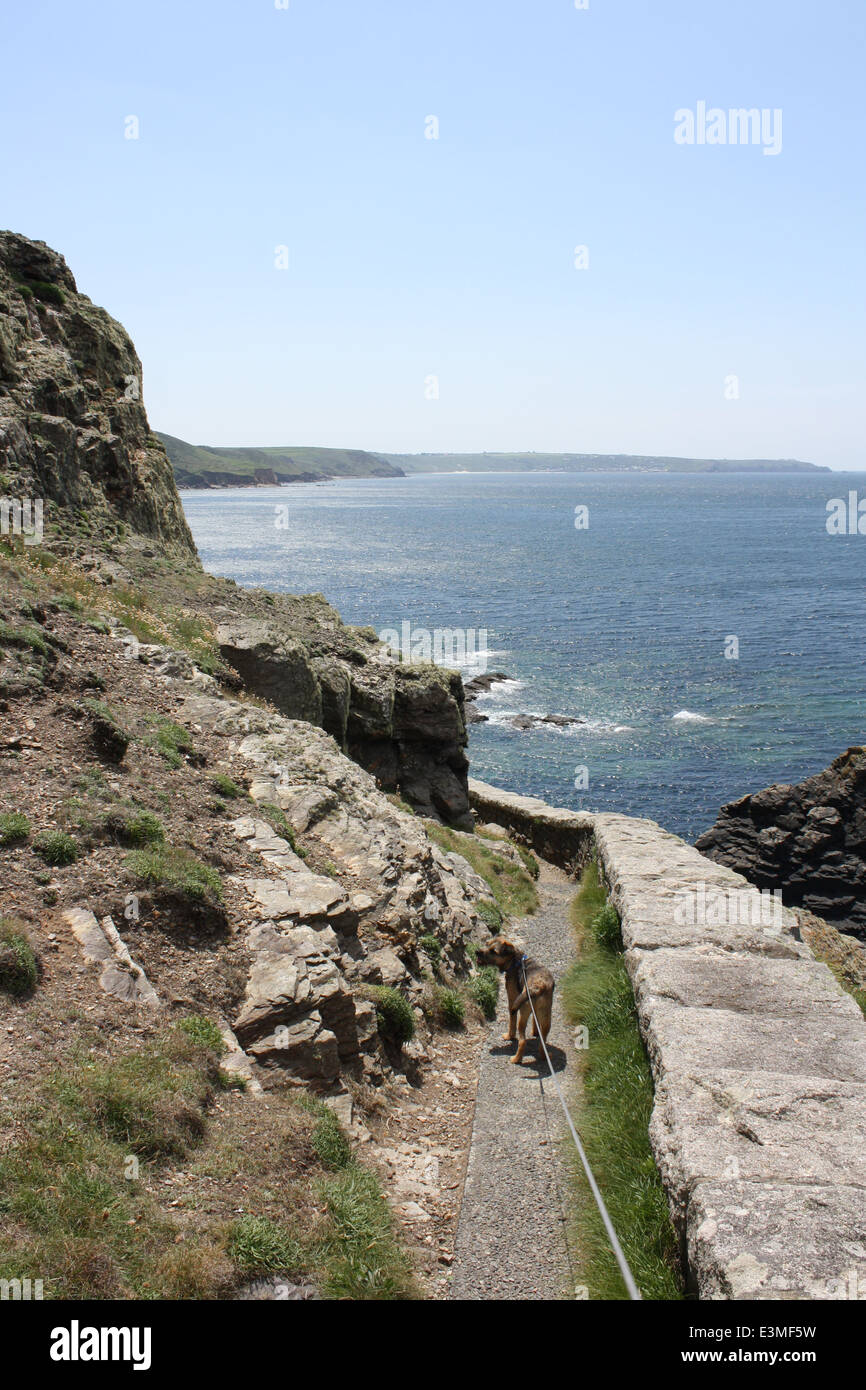 Cornwall coastal path hi-res stock photography and images - Alamy