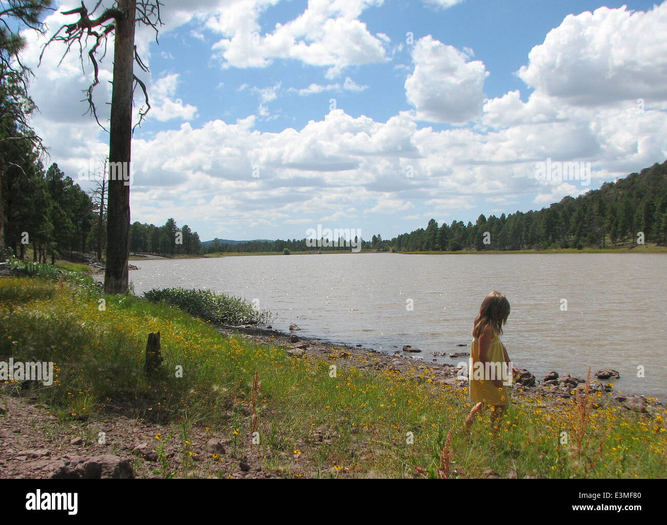Kaibab Lake Campground, located in the Williams Ranger District of the Kaibab National Forest ...