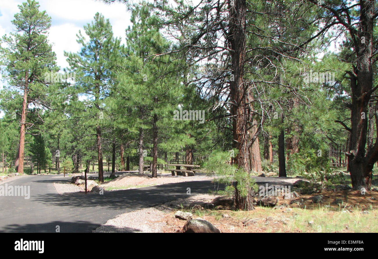 Kaibab Lake Campground, located within the Kaibab National Forest, offers camping opportunities ...